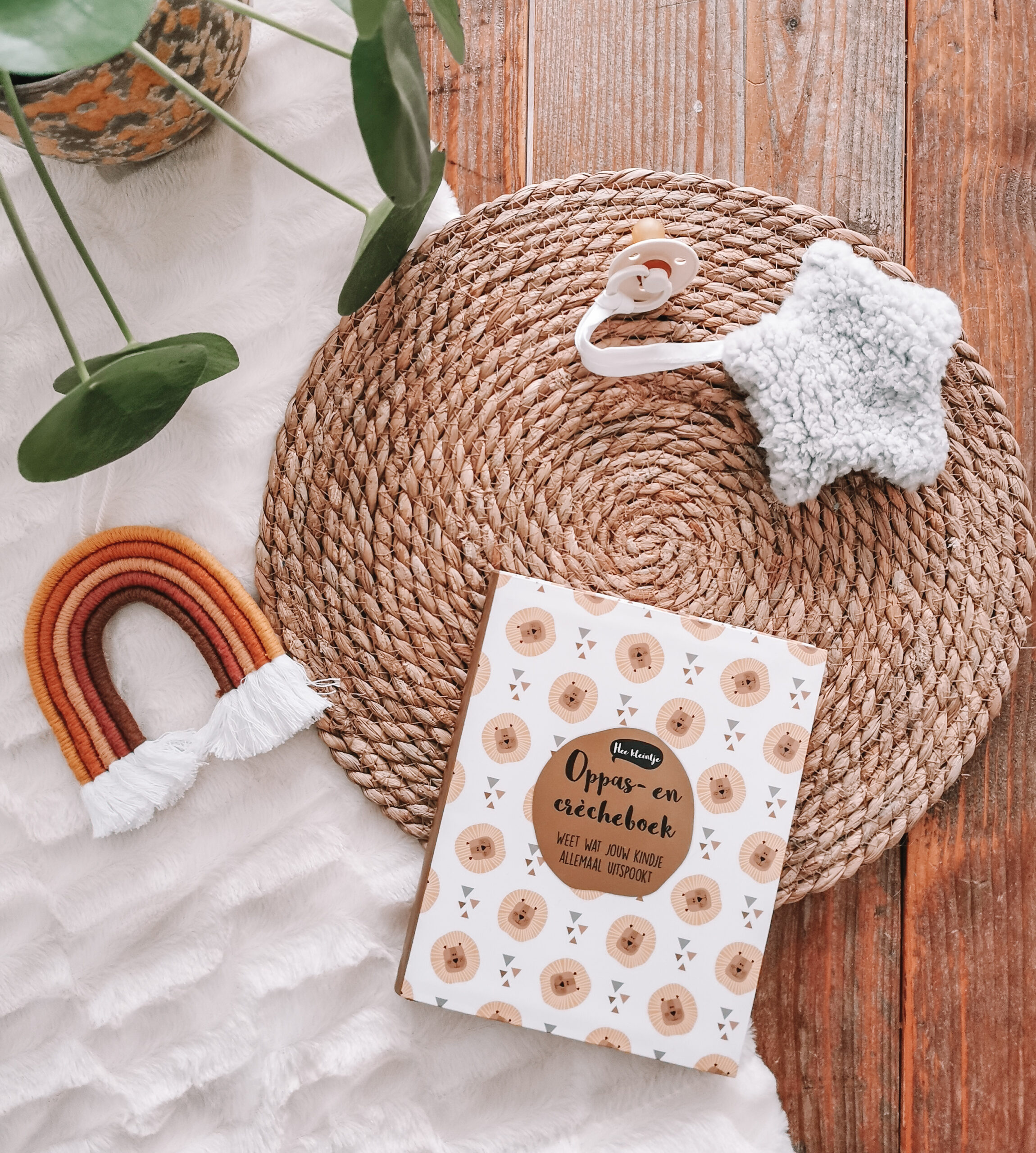Recensie | Oppas en crècheboek - Lovethesmellofbooks.nl